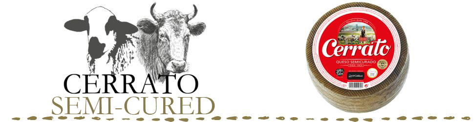 Cerrato Semi-Cured: Product Information - Cerrato Cheeses